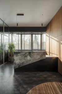 Stone Debris Office by Anastasiia Lukashova - Interior Design - Inspiration